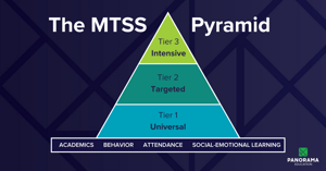What is MTSS?
