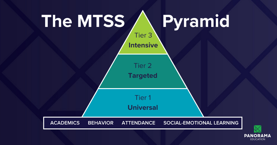 What is MTSS?