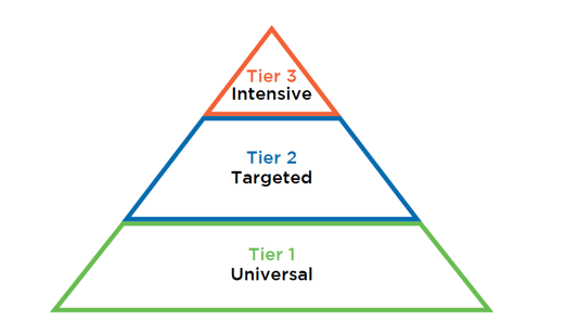 Interventions & Progress Monitoring Toolkit: Free Templates for Your ...
