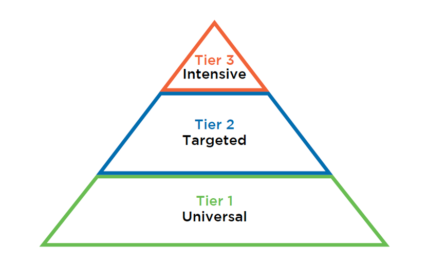 Interventions & Progress Monitoring Toolkit: Free Templates for Your ...
