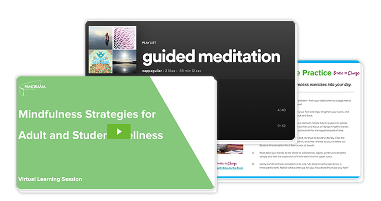 Teacher Wellness: 6 Resources and Ideas for Self-Care | Panorama Education
