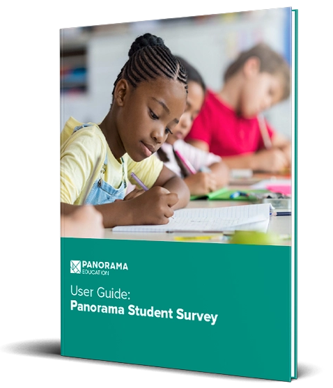 An In-Depth Look at Student Perception Surveys