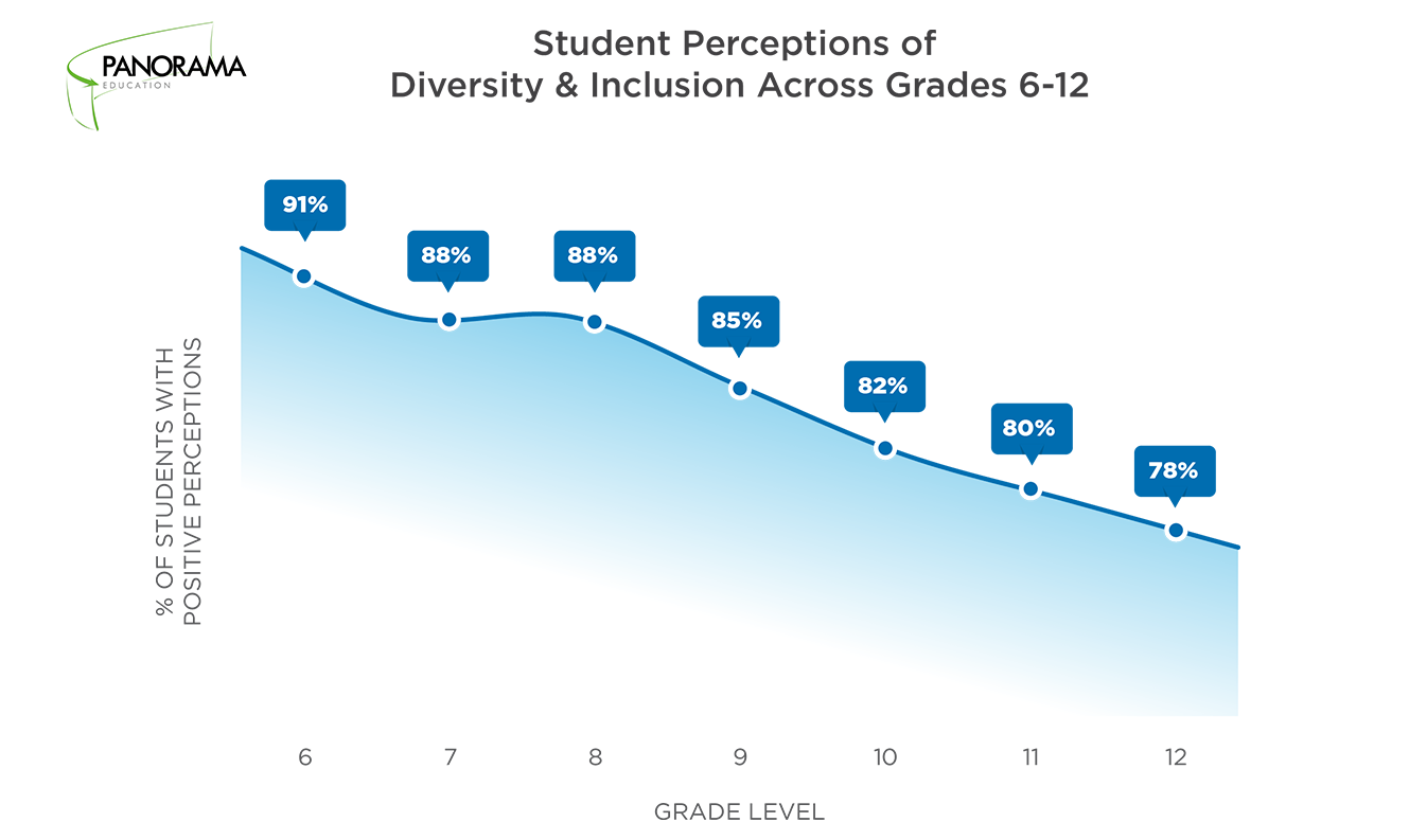 Top 3 Findings on Diversity, Equity, and Inclusion in Schools